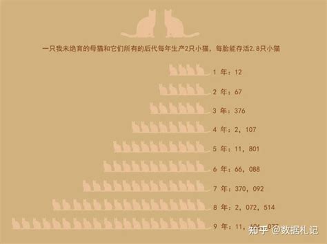 关注流浪猫：从我们出发捕猎流浪猫狗死亡数据 Csdn博客