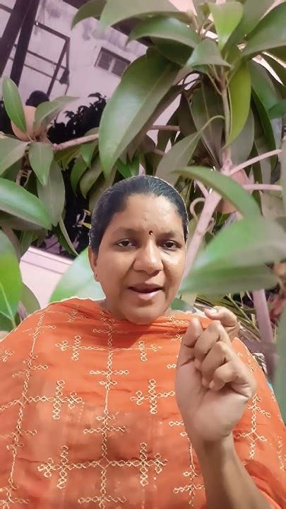 Double Hashing Collision Resolution Technique Open Addressing Doublehashing Openaddressing