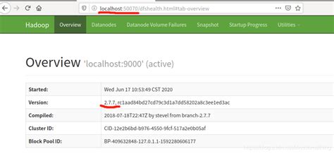 大数据综合实验的踩坑总结（林子雨）大数据实验问题总结 Csdn博客