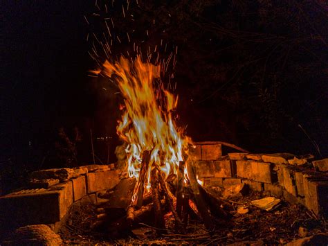 Vivo V Pro Review A Mid Range Shooter With Decent Results PetaPixel