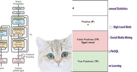 list datascience curated by fatima ezzahra medium