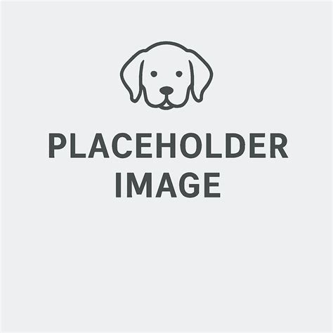 Truly Irish Terrier Puppy For Sale In Waterloo Ny Lancaster Puppies