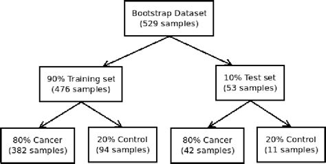 1 Structure Of The Bootstrap Datasets Used Download Scientific Diagram
