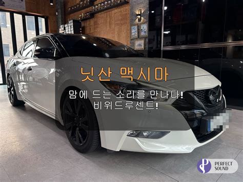 닛산 맥시마 맘에 드는 소리를 만나다 비위드 루센트 작업 사진들