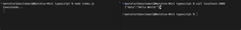 entendendo e configurando um projeto typescript