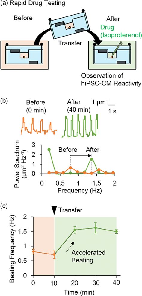Rapid Drug Testing By Transferring The Hydrogel Based Sealed Download Scientific Diagram