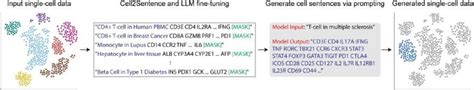 Bioinformatics Transcriptomics Aiinbiology Singlecell Languagemodels Cell2sentence