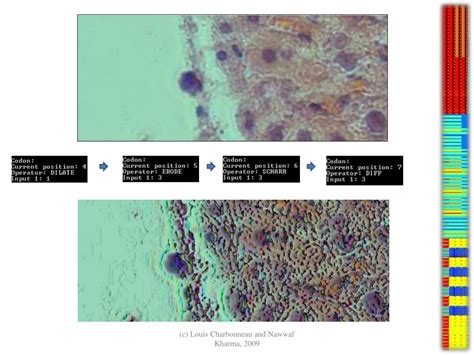 Ppt Gp Based Image Segmentation Gpis With Applications To Biomedical Image Segmentation