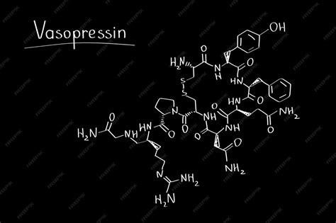 Vasopressin Antidiuretic Hormone Adh Molecular Structure Educational