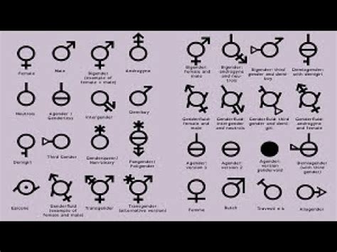 News Headline What S HOT The Difference Between Bisexuals Pansexuals 60 Gender Options