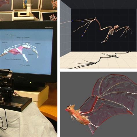 Pdf Scientific Sketching For Collaborative Vr Visualization Design