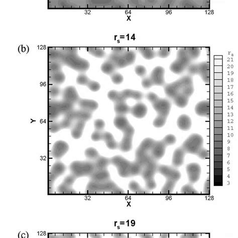 Spatial Density Distributions For Various Average Densities The Download Scientific Diagram