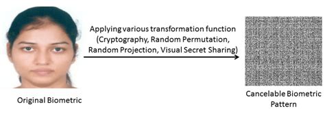 Generation Of Cancelable Biometric Pattern From The Original Biometric Download Scientific