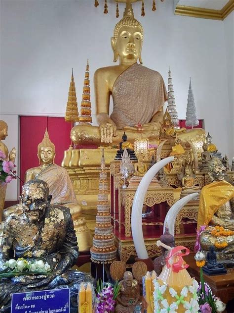 ธรรมวันนี้ จงใช้ชีวิต สุ ข ใ ห้ เ ป็ น เมื่อใดที่เรา โมโห ลองนั่งนิ่งๆ ทบทวนดูว่า