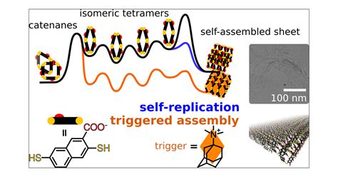 template triggered emergence of a self replicator from a dynamic