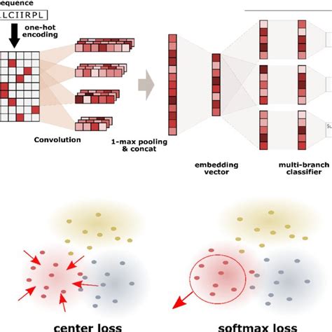 Neural Network Architecture And Loss Function Download Scientific Diagram