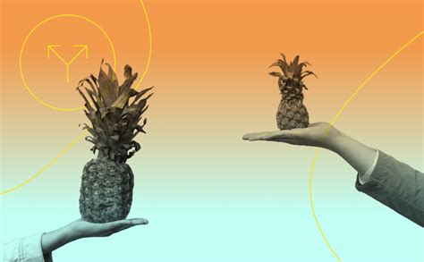 Magento Vs Woocommerce Which Platform To Choose