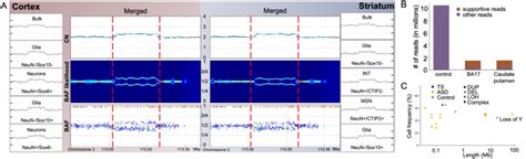Detection And Validation Of Somatic Large Structural Mutation In Brain