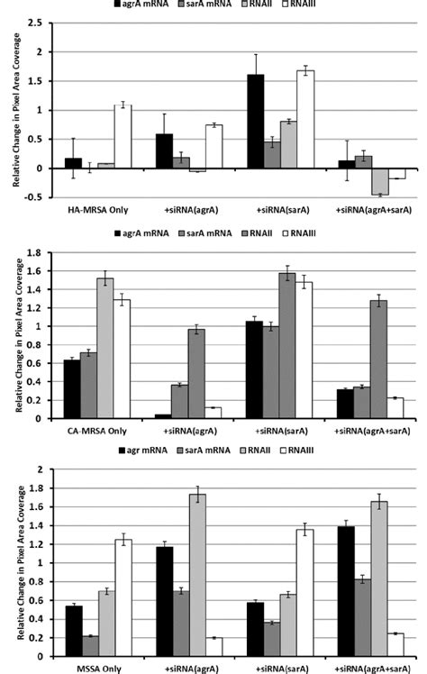 Difference In Pixel Area Coverage In Agra Sara Rnaiii And Rnaii Genes