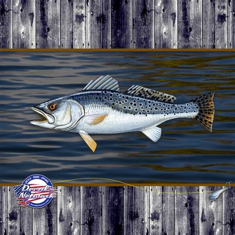 Trout Decal Etsy