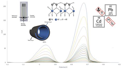 Electrochemical Sensor Voltammetry At Marcus Lewis Blog