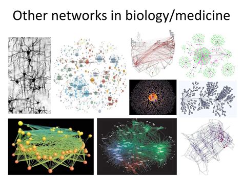 ppt biological networks analysis introduction and dijkstra s algorithm powerpoint presentation