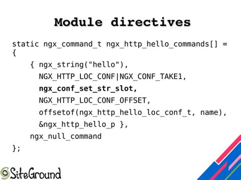 writing nginx modules ppt
