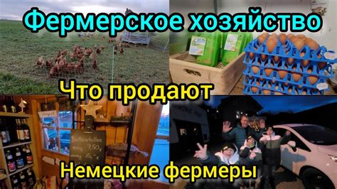 Магазины без продавцов Всё на доверии заходи бери Фермерское хозяйство Что продают немецкие