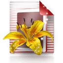 APX File Extension What Is APX And How Do I Open It