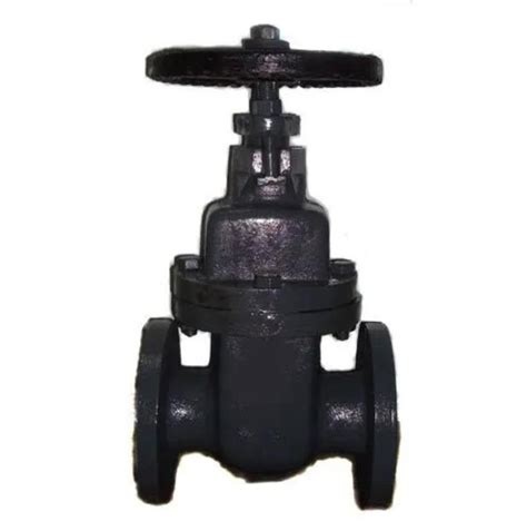 Buy Ievpf Di Sluice Valves Dn 80 Mm Online At Best Rates In India Landt