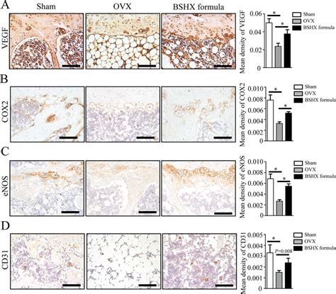 Down Regulation Of Vegf Signaling Was Restored By Bshx Formula