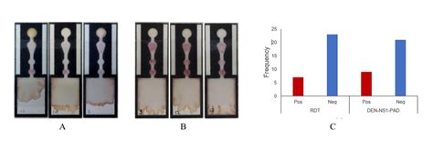 Portable Paper Based Immunoassay Combined With Smartphone Application For Colorimetric And
