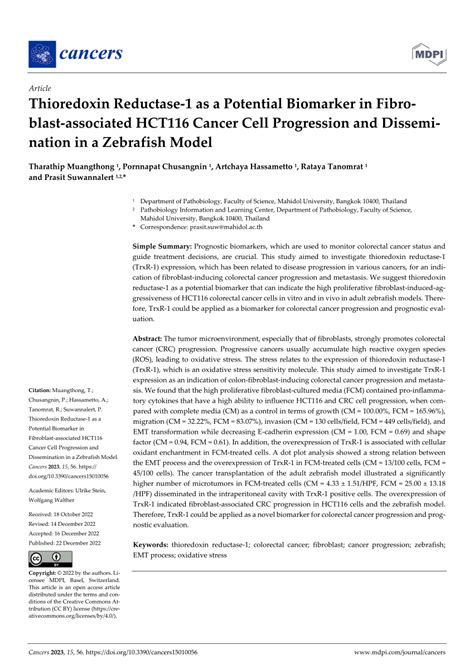 Pdf Thioredoxin Reductase 1 As A Potential Biomarker In Fibroblast Associated Hct116 Cancer