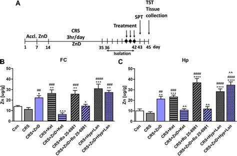 Frontiers Combined Hyperforin And Lanicemine Treatment Instead Of Ketamine Or Imipramine