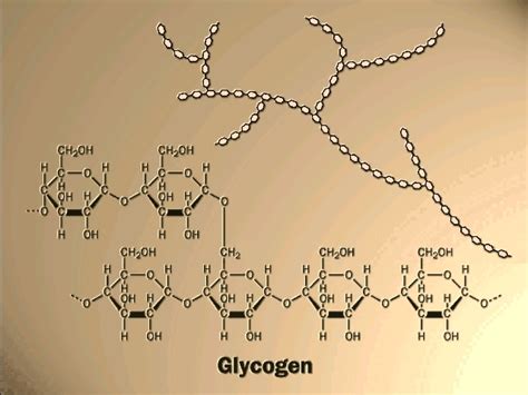 And There Are Several Common Disaccharides As Distinct From
