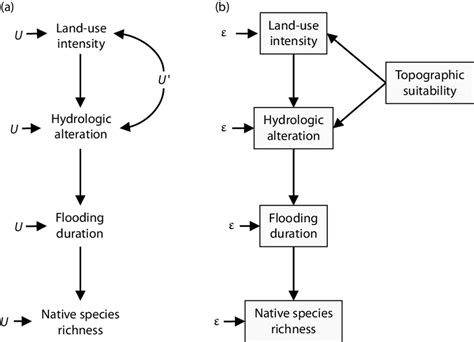3 A Causal Diagram Representing The Case Of A Confounding Effect By U Download Scientific