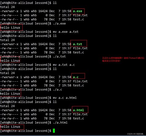 【linux】shell命令运行原理和权限详解 linux shell怎么运行 csdn博客