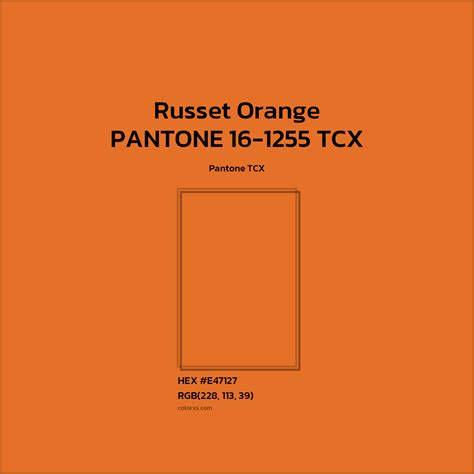 About Pantone 16 1255 Tcx Russet Orange Color Color Codes