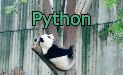 【python入門】リスト 配列 の使い方！ 取り出し 追加 削除 コードライク