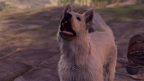 How To Find Scratch Baldurs Gate 3 Eip Gaming