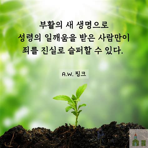 트리니티 뱁티스트 교회 거듭난 신자의 죄를 향한 태도 그러므로 우리가 그의 죽으심과 합하여 세례를