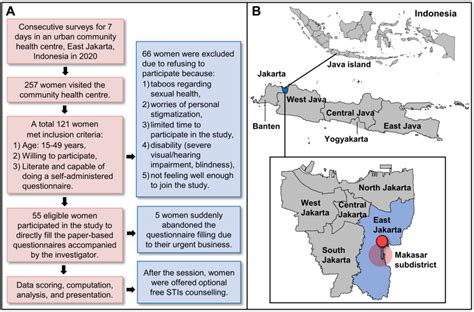 A Study Flowchart On How Participants Were Recruited Assessed And Download Scientific