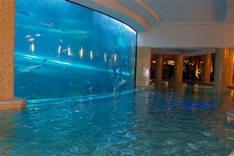 Coolest Pool In The World