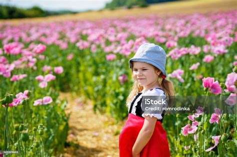 양귀비 밭에있는 어린 미취학 소녀 빨간 승마 후드 드레스를 입은 귀여운 행복한 아이는 분홍색 양귀비와 함께 꽃이 피는 초원에서 야외에서 놀고 있습니다 아이들과 함께하는