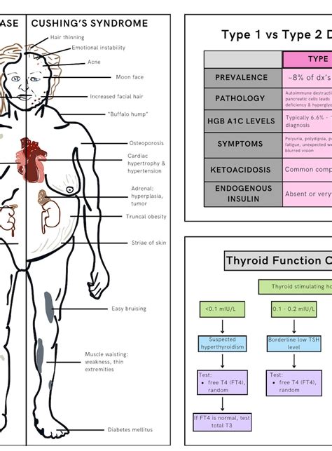Hormone Cheat Sheet Endocrine Mltmlsrn Med Tech Chemistry Medical