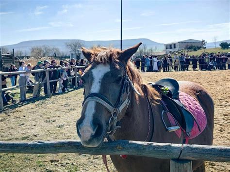 Красиво Ветрино Онлайн вестник Красиво Ветрино