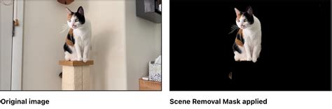 Use The Scene Removal Mask In Final Cut Pro For Mac Apple Support