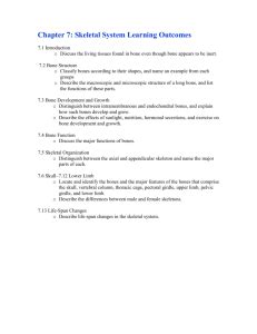 CHAPTER 7 SKELETAL SYSTEM