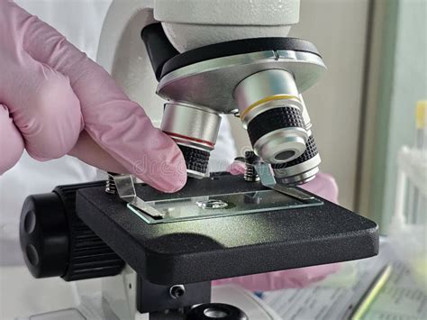 Researcher Examines Slide Under Microscope In Laboratory Stock Image