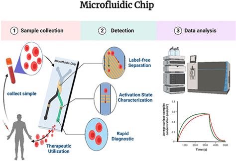 Label Free Detection Of Cardiac Biomarkers A Review On Microfluidic